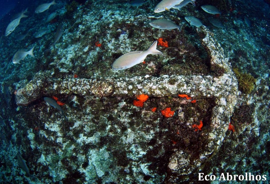 Batavia Shipwreck - Eco Abrolhos