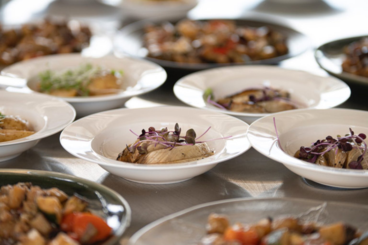 Pearls & Plates - Eco Abrolhos