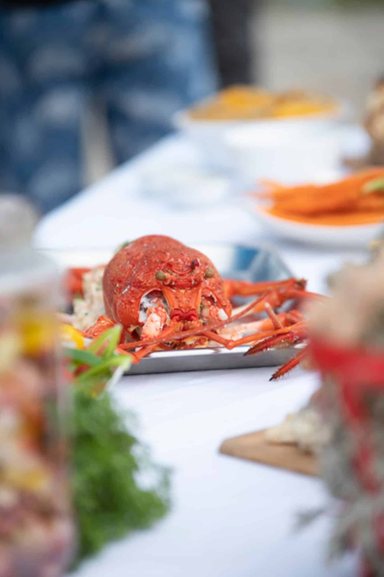 Pearls & Plates - Eco Abrolhos